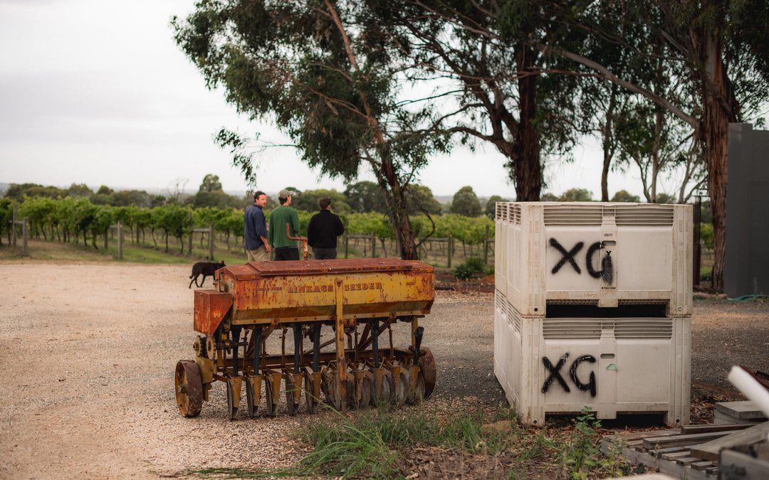 Xavier Goodridge | PA PA Wine – Xavier Wine